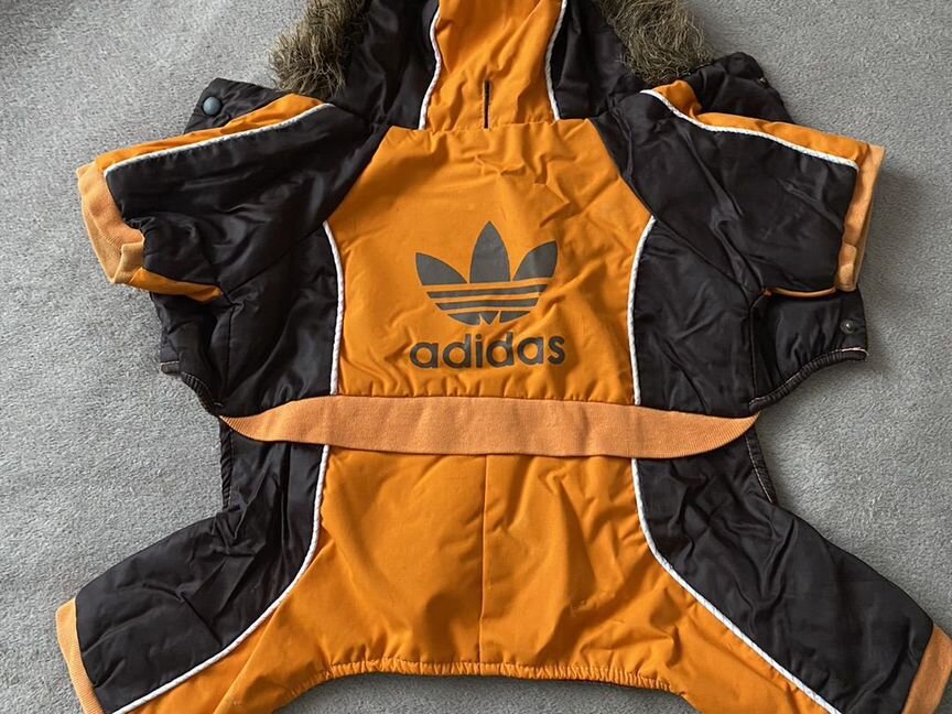 Зимний костюм для собак мелких пород