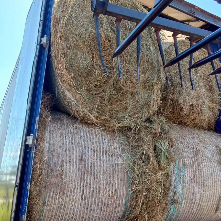Сено оптом и с доставкой