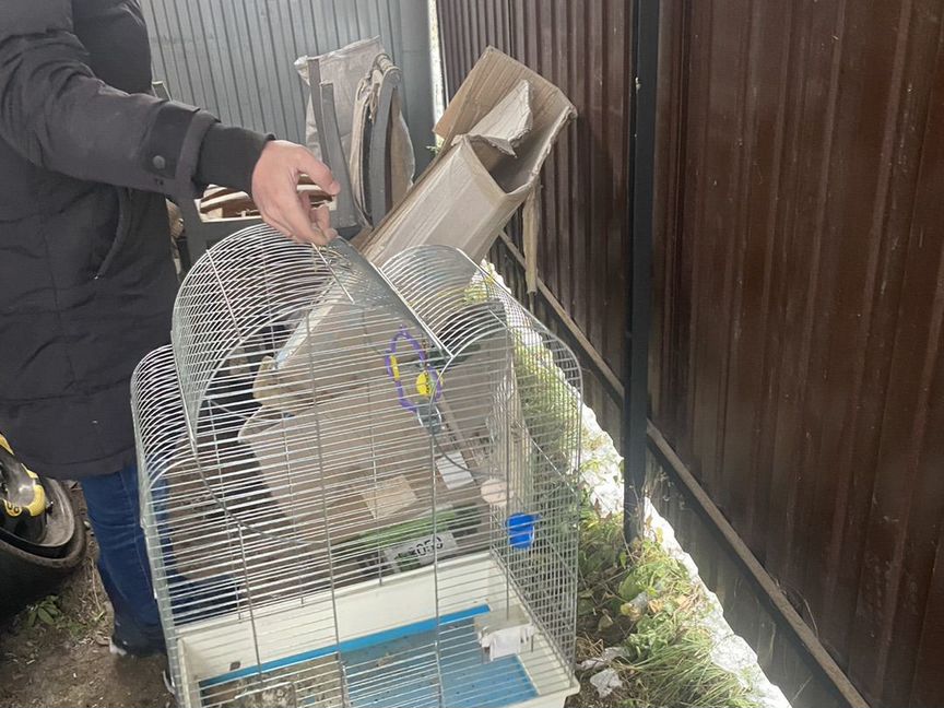 Большая клетка для попугая бу