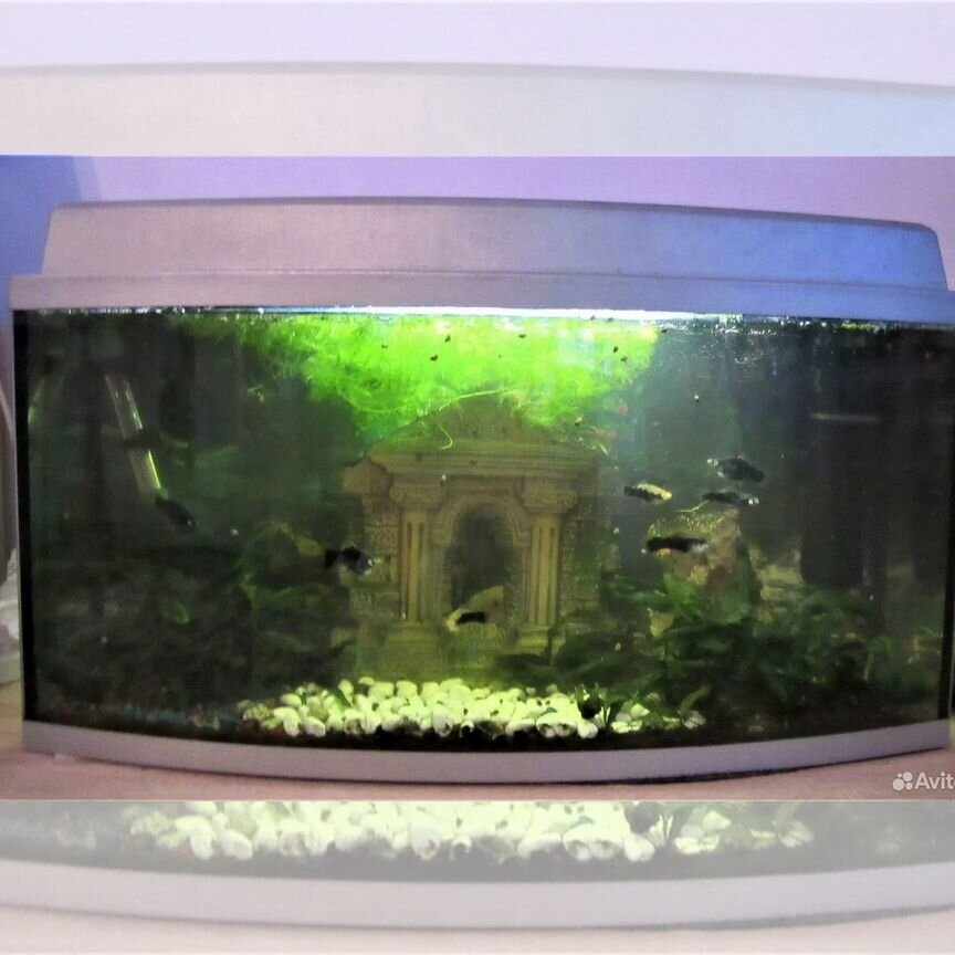 Аквариум бу, декорации для аквариумов