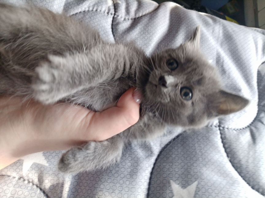 Две милых девочки ищут дом