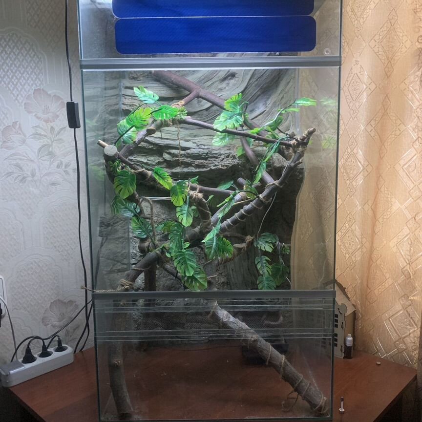Террариум для хамелеона