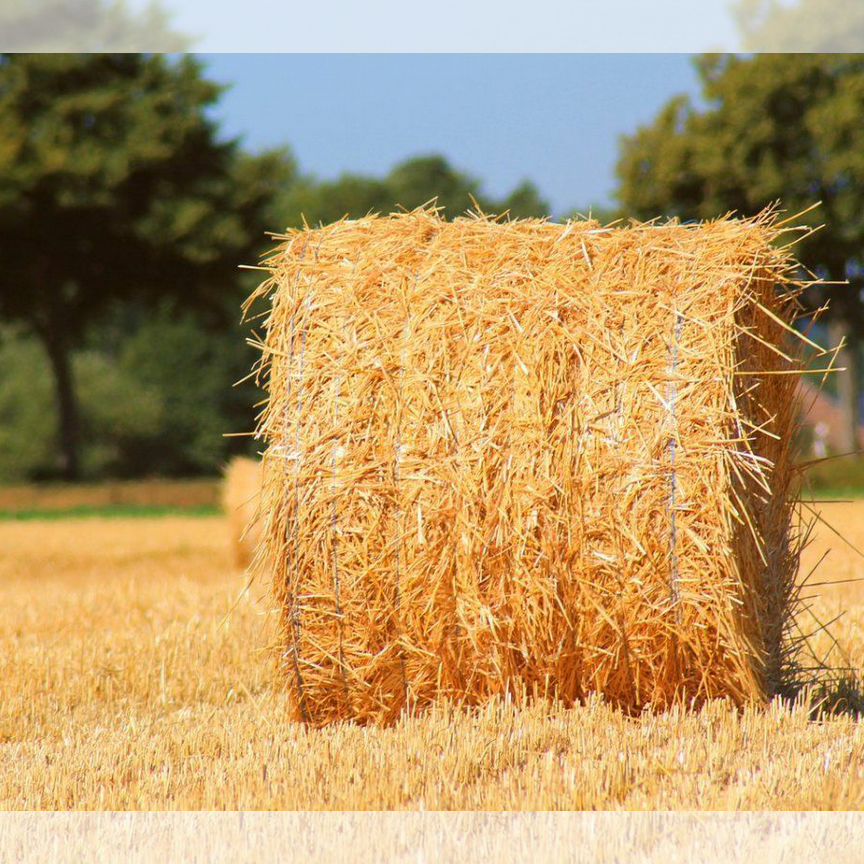Солома в рулонах