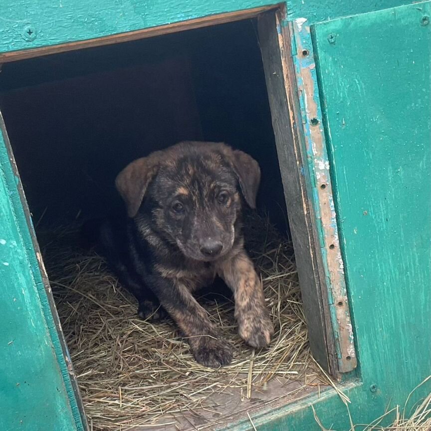 Мамочка, я ищу тебя