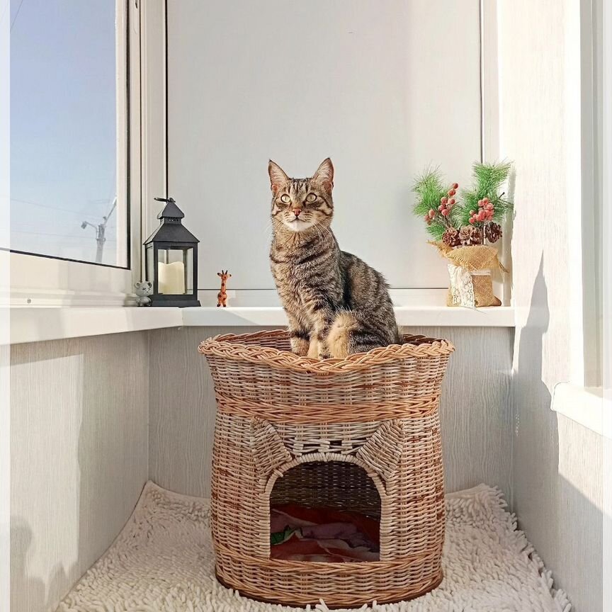 Домик для кошки плетеный