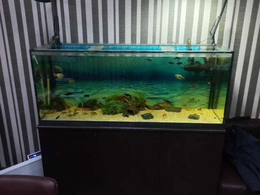 Аквариум с тумбой 400 л, с рыбками