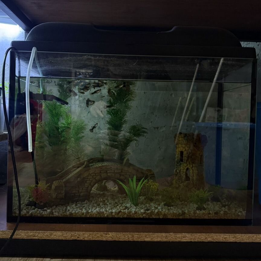 Аквариум с рыбками 60 литров