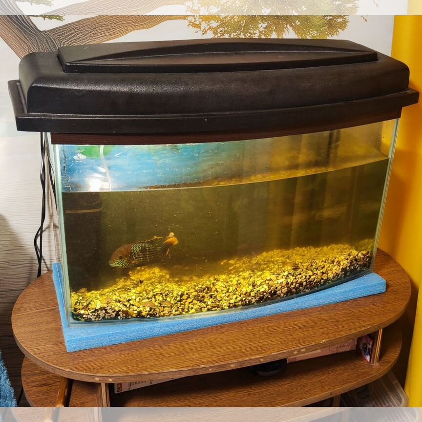 Аквариум с крышкой