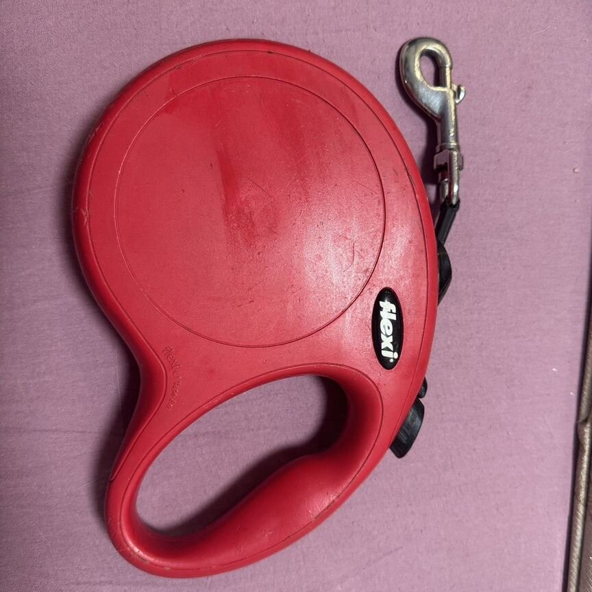 Принадлежности для собаки