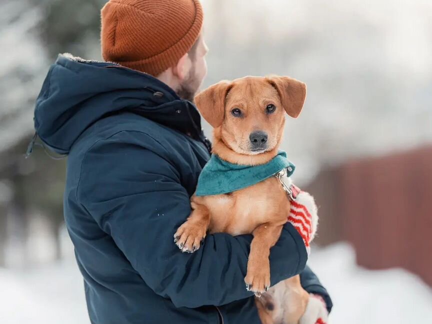 Ингар ищет семью