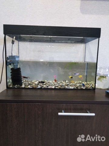 Аквариум
