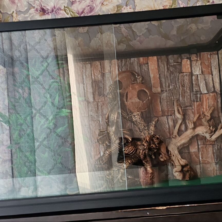 Террариум для рептилий большой