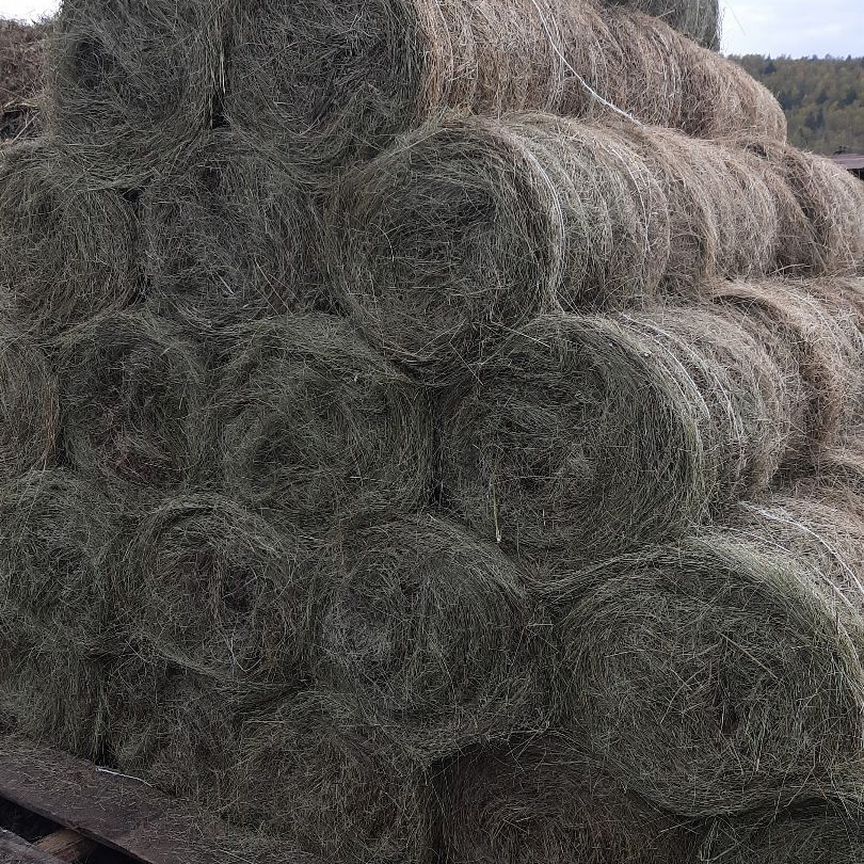 Сено в мини рулонах