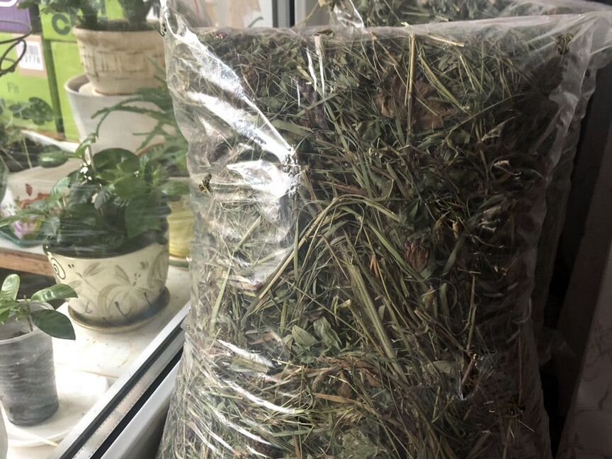 Сено для кроликов