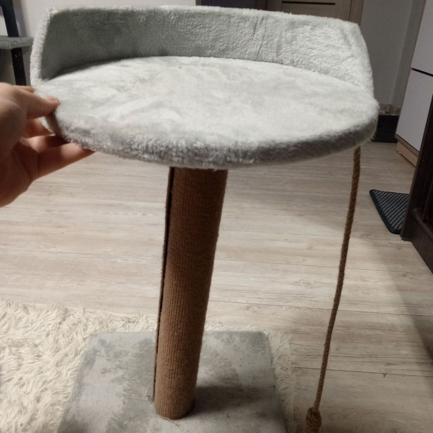 Когтеточка