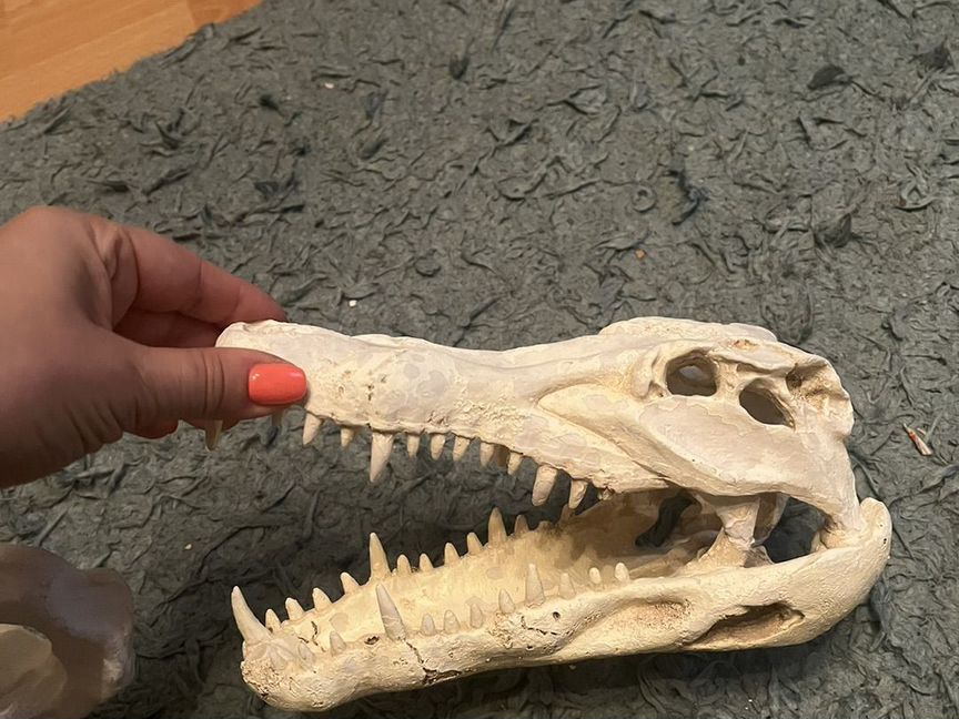 Грот крокодил декор для аквариума