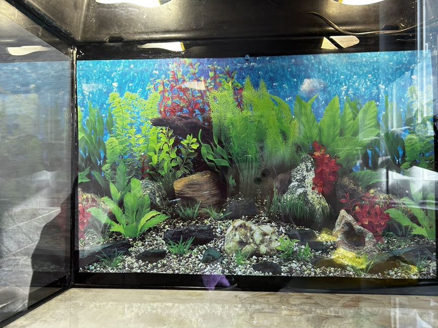 Аквариум 40 л с фильтром и прочим