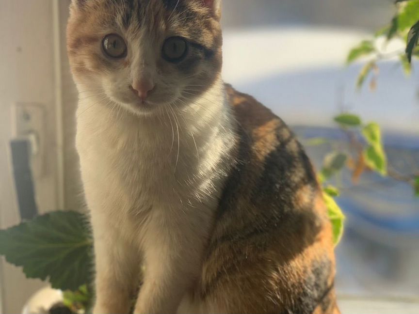 Ну какова красота эта девочка