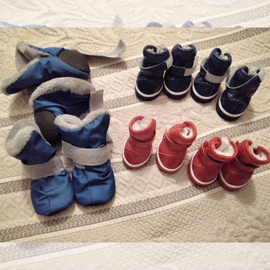 Обувь ботинки сапожки для собачки