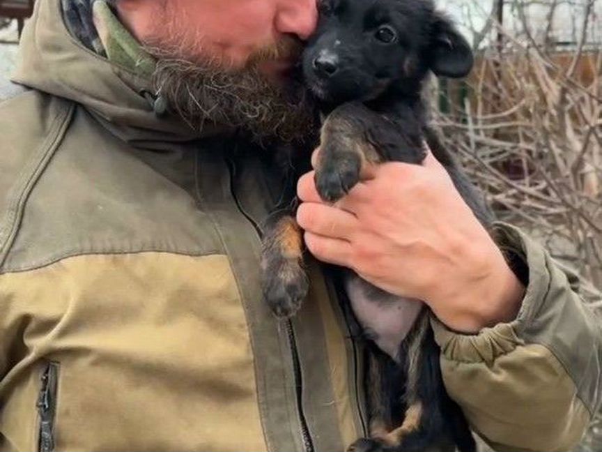Маленький щенок мальчик ищет дом