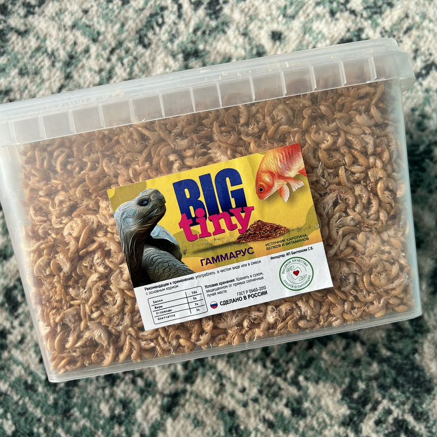 Big Tiny Гаммарус