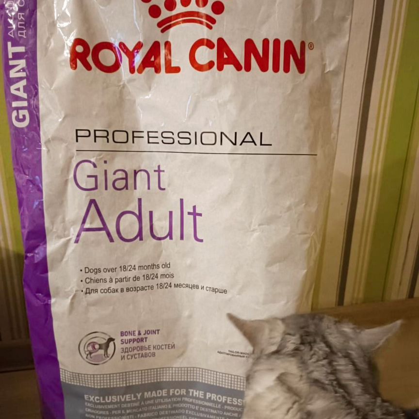 Сухой корм для собак royal canin