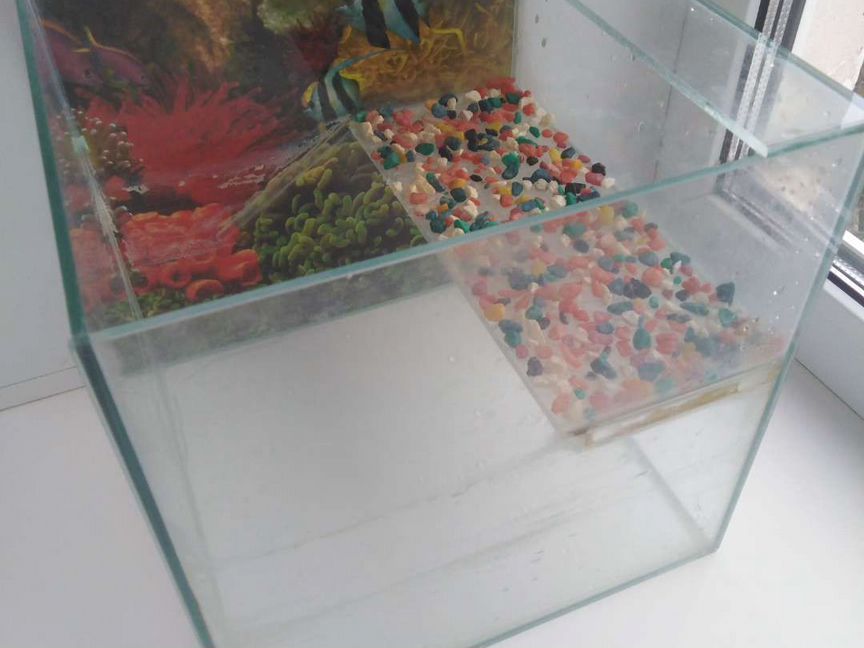 Аквариум для черепах