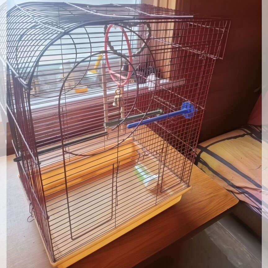 Плетка для птиц