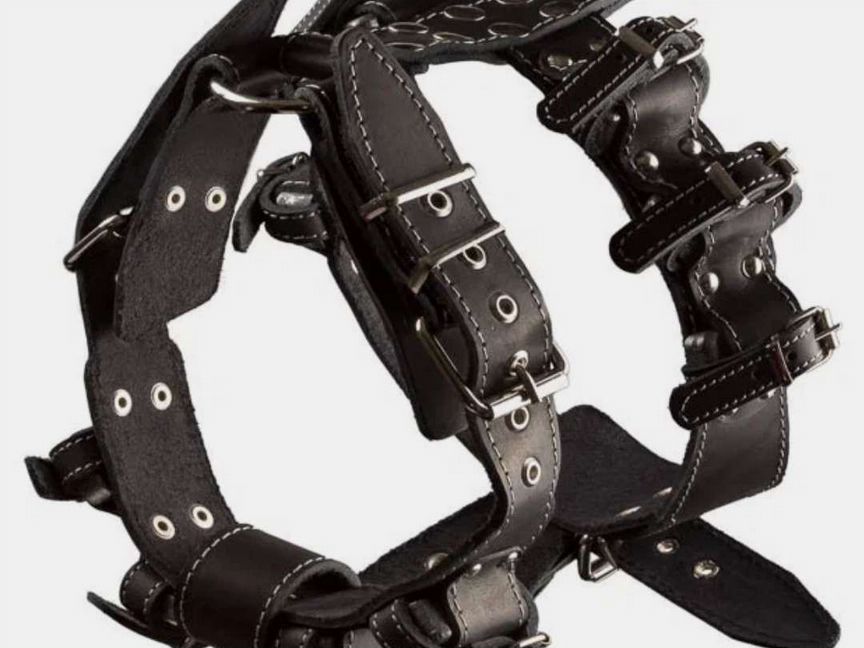 Шлейка с грузами