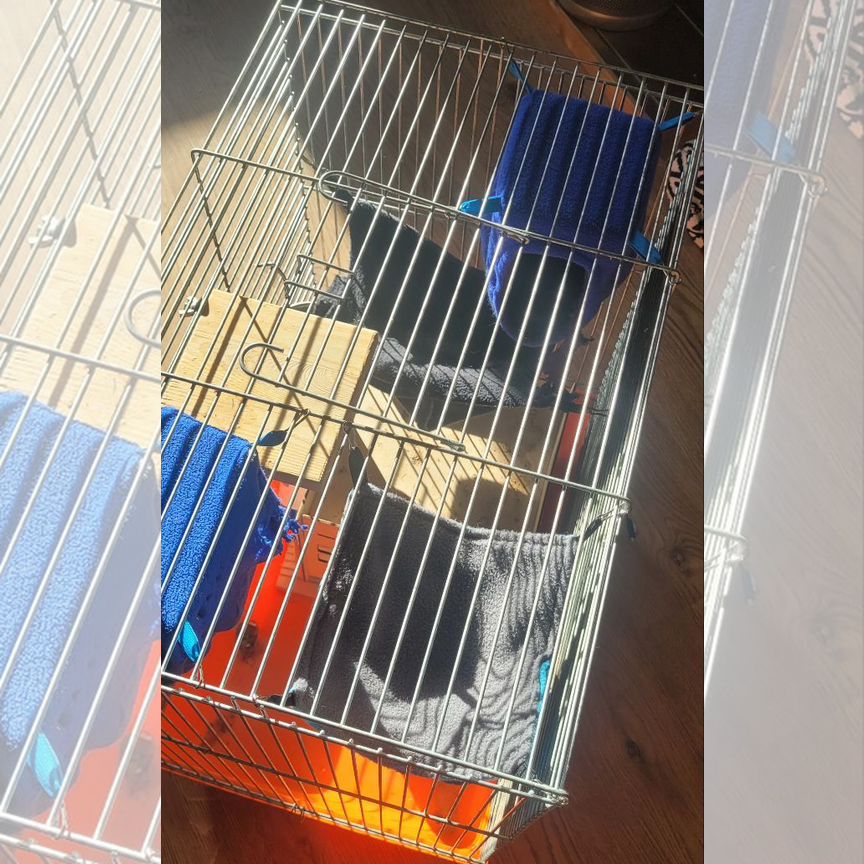 Клетка для грызунов большая