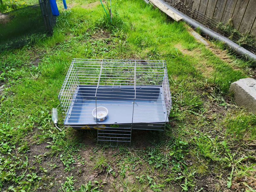 Две клетки для грызунов +вальер и переноска