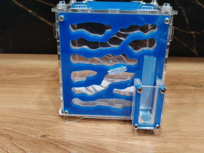 Формикарий муравьиная ферма