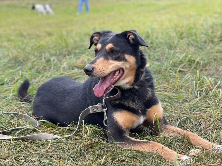Подарите Гретте надежду