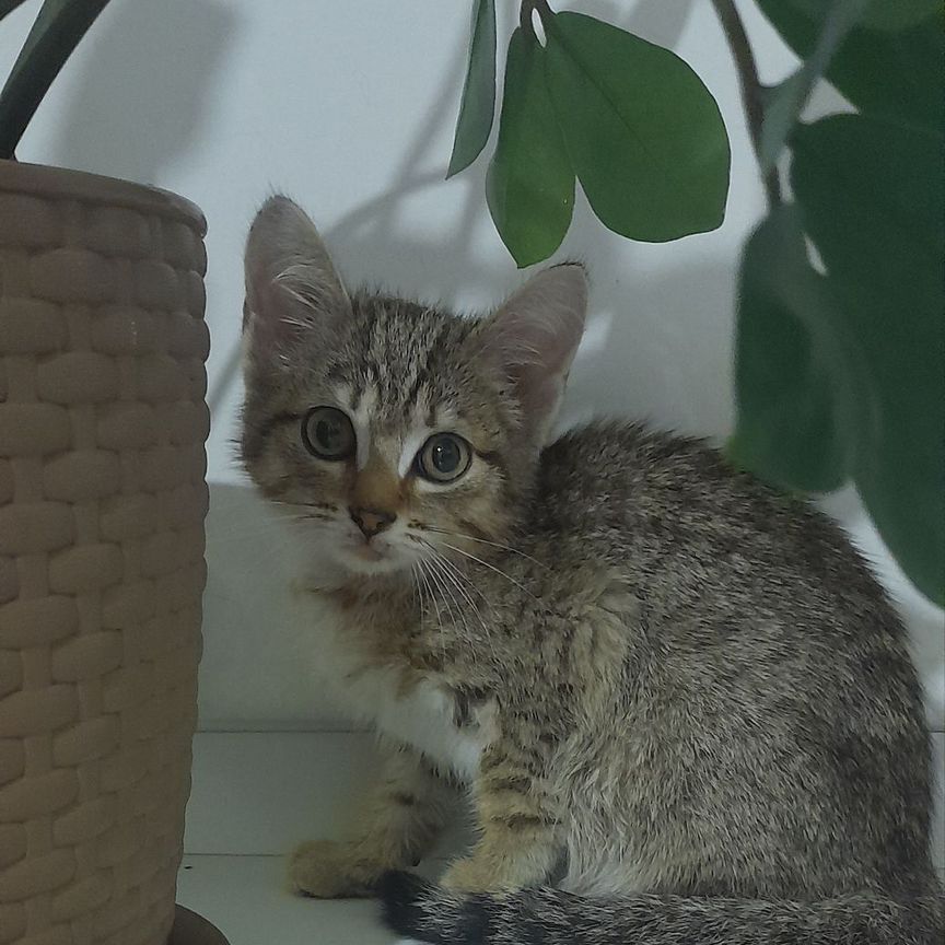 Малышка 2 месяца