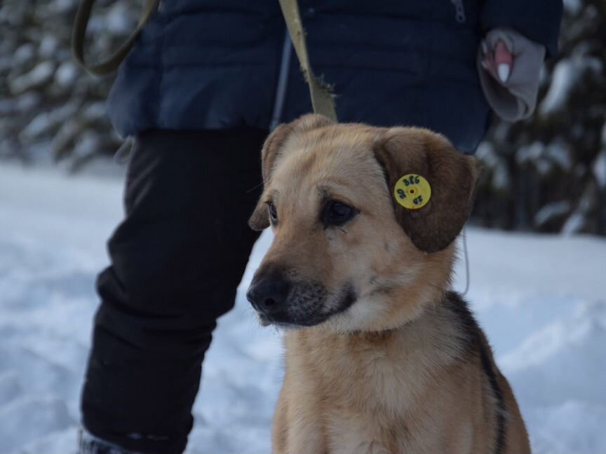 Бани ищет свою семью