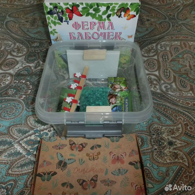 Ферма бабочек для детей д/ф-11