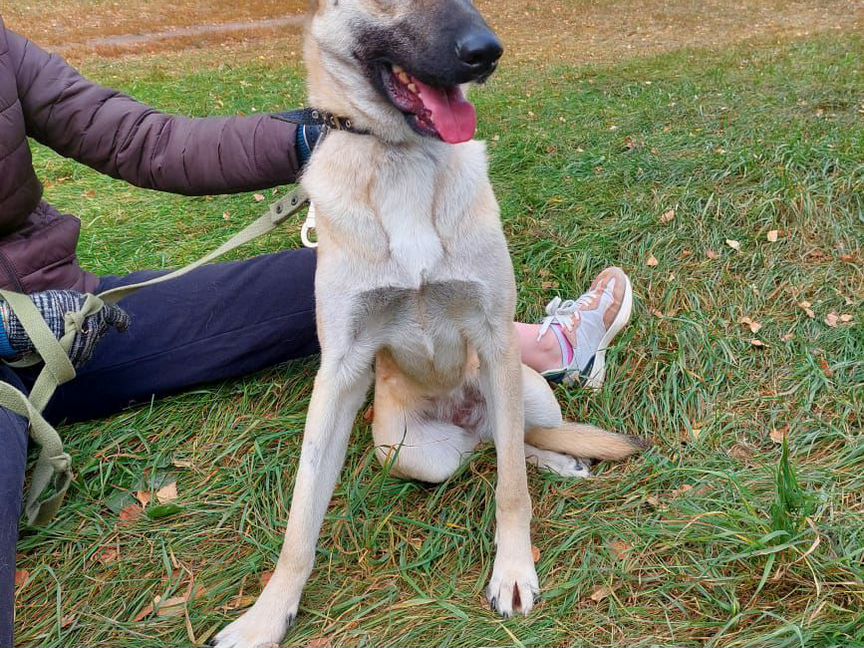 Год детства за решёткой