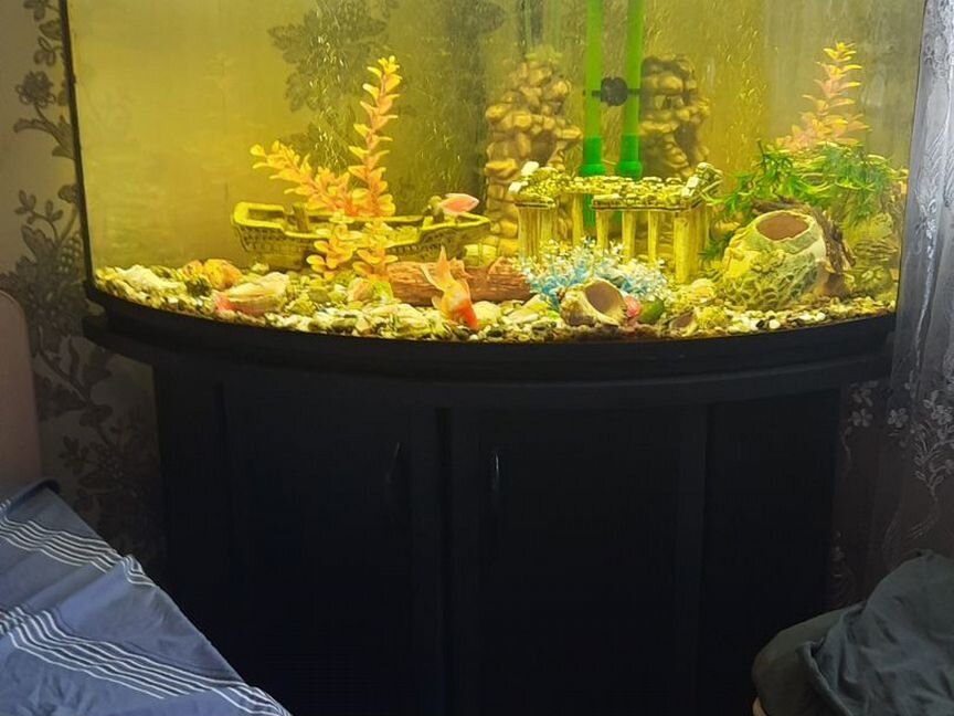 Продаю аквариум