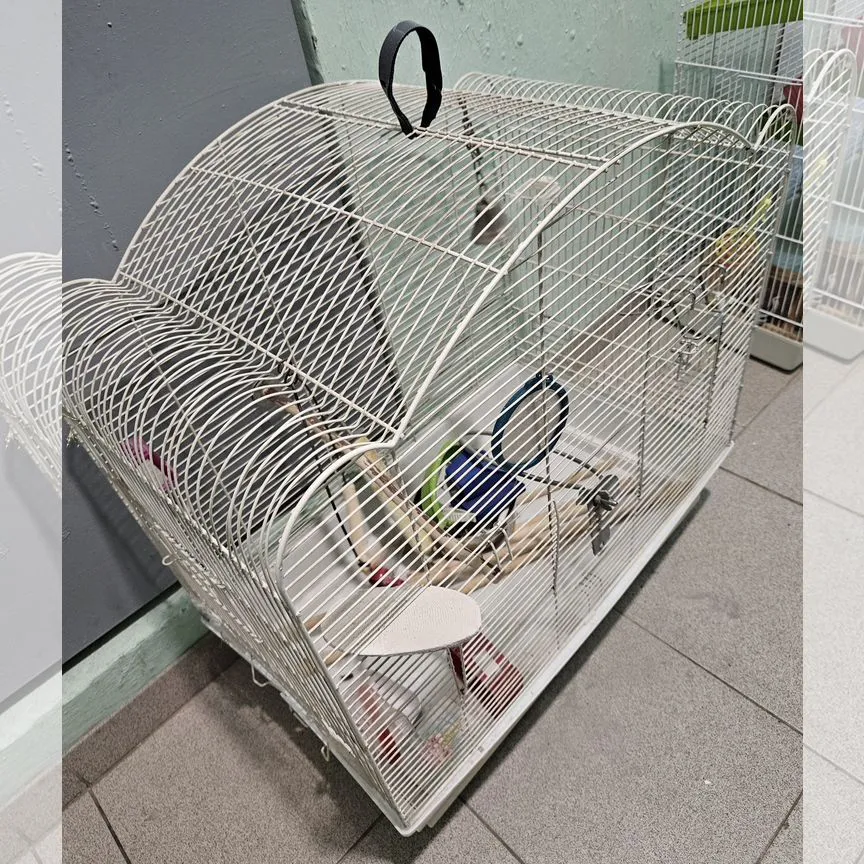 Клетка для попугая