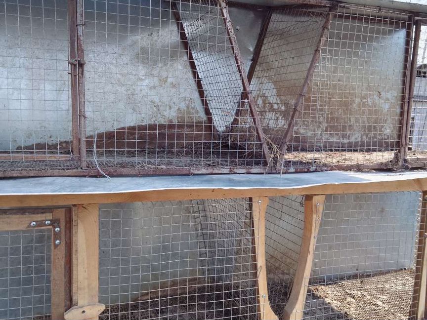 Клетка для кролика