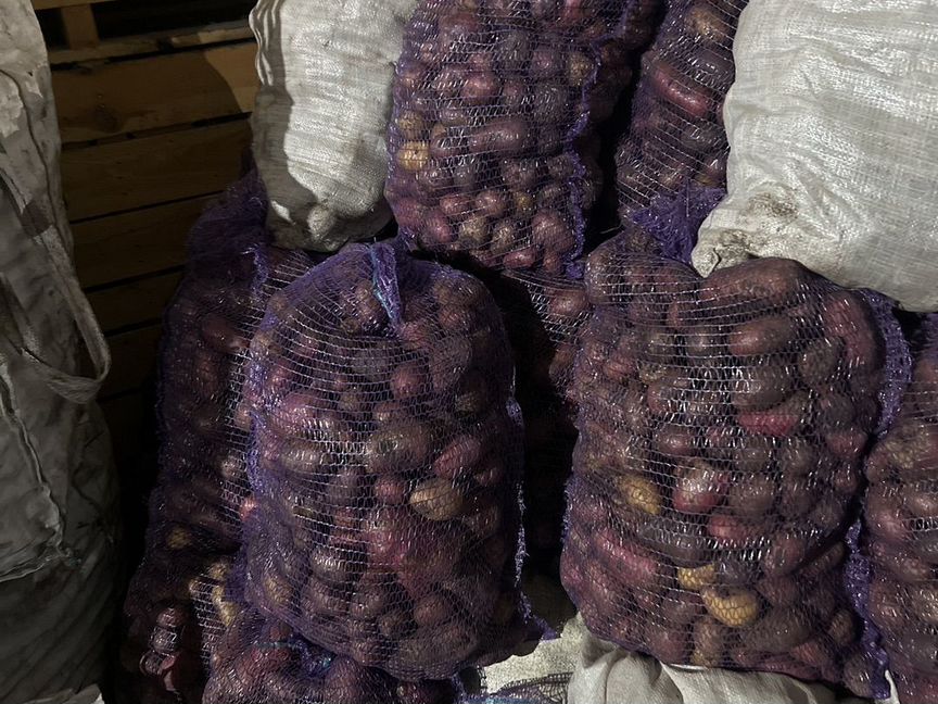 Картофель на корм скоту в мешках