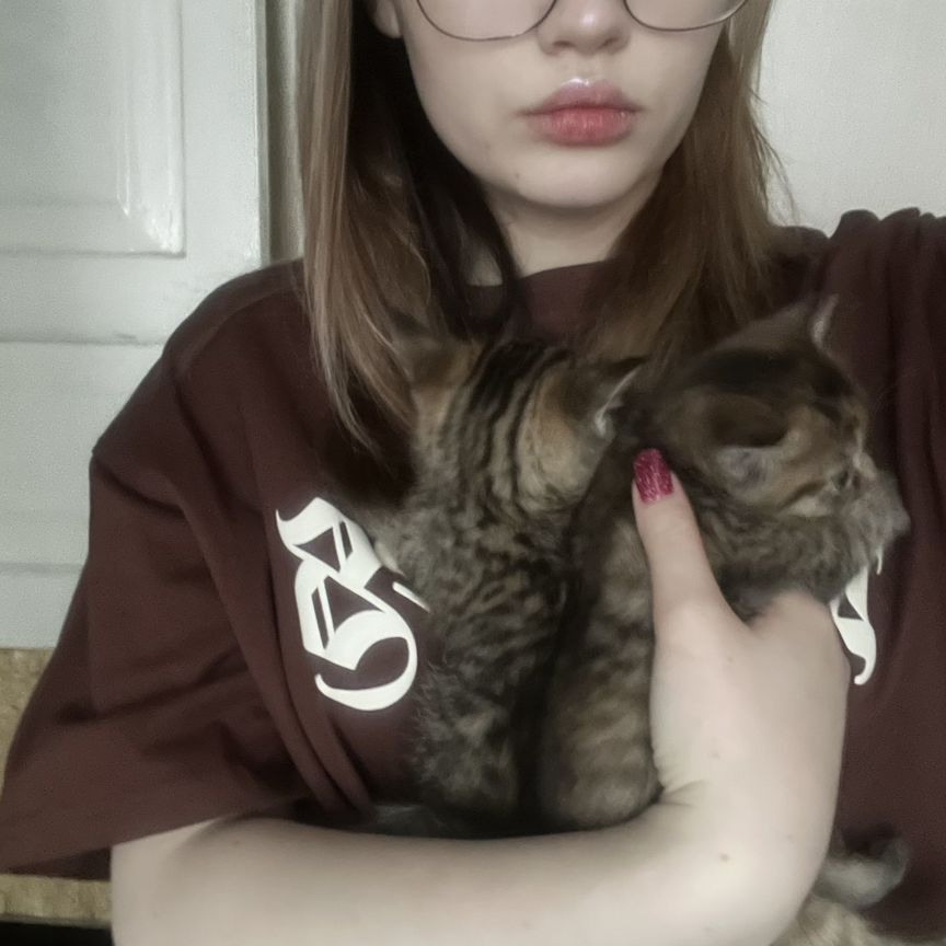 Котёнок в добрые руки