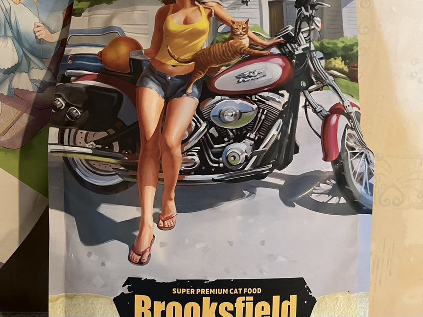 Кошачий корм Brooksfield 2кг, для взрослых кошек
