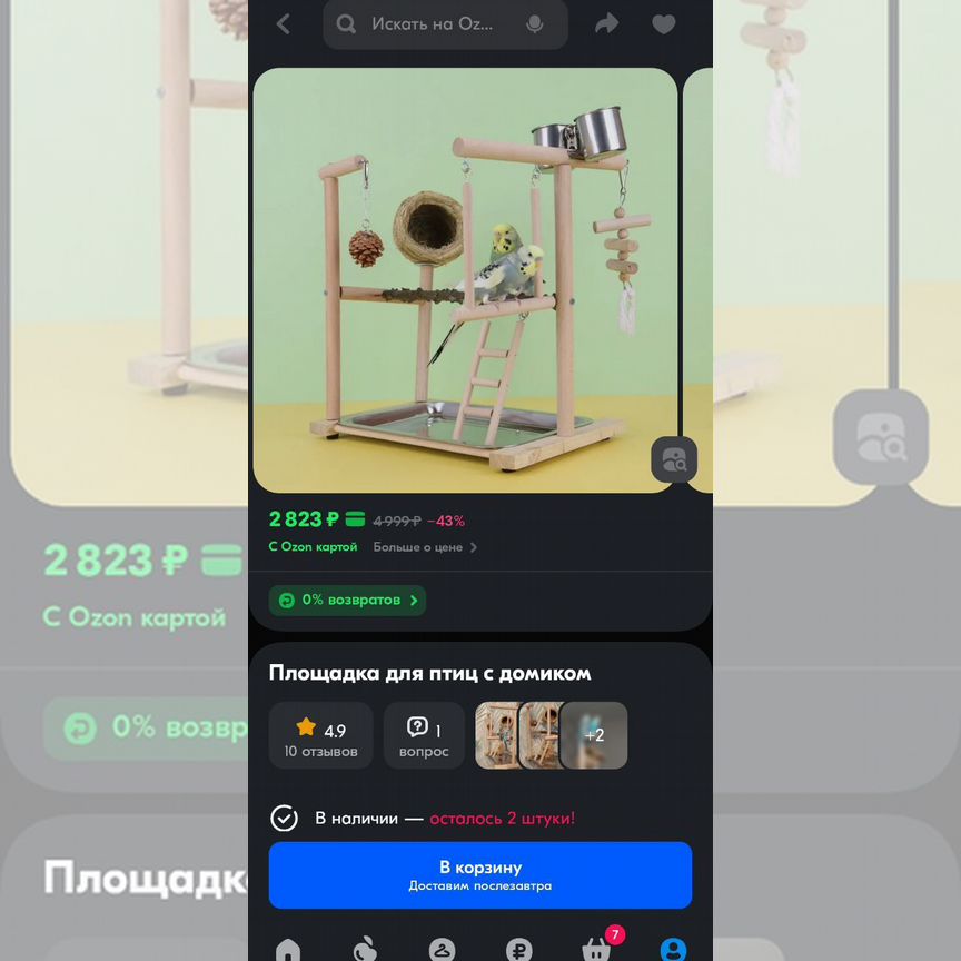 Площадка для попугаев
