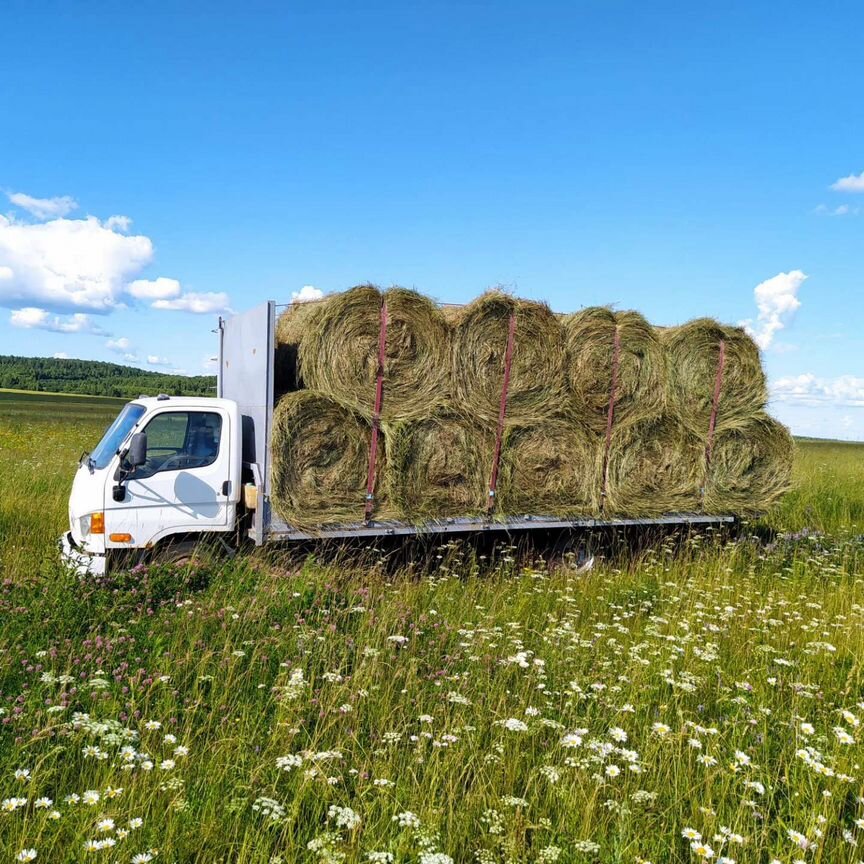 Сено, солома