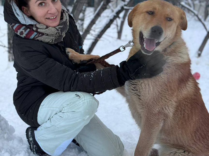 Отважный Ланс ищет дом