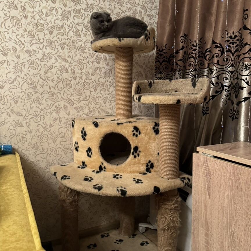 Домик когтеточка