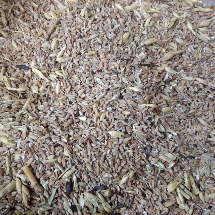 Отсев мукомольная пшеница, 40кг