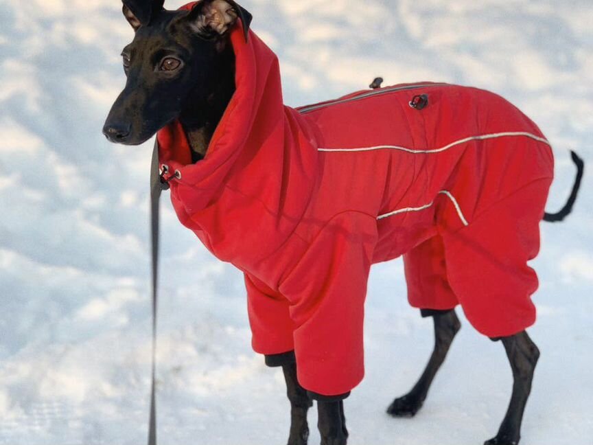 Комбинезон зимний для собаки