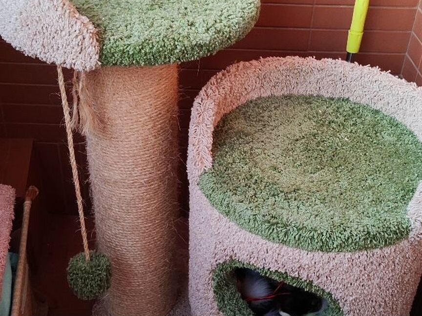 Домик лежанка для кошки